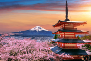 Average Height in Japan 2026 - Wanna Be Taller