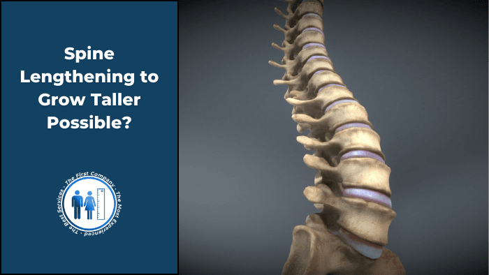 Spine Lengthening To Grow Taller - Possible? - Wanna Be Taller